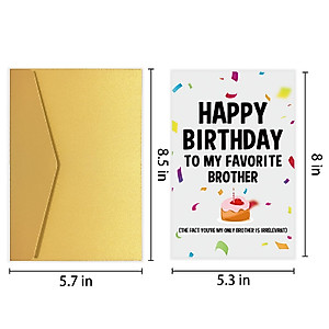Funny Birthday Card for Brother, Humorous Bro Bday Greeting Card, Hilarious Brother Birthday Card from Sister Brother