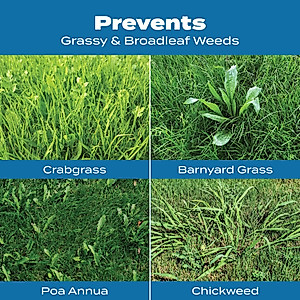 Scotts Turf Builder Halts Crabgrass Preventer with Lawn Food, 13.35 lbs.
