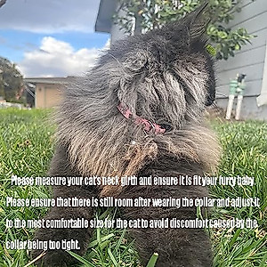 PUPTECK Breakaway Cat Collar with Bell Charm, 2 Packs Adjustable Kitty Collars Pink & Black Skull Pattern