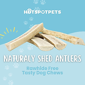 hotspot pets Split Elk Antlers for Dogs - 4-5 Inch Long Dog Chews,(3 Pack) Naturally Shed Elk Antler Bone for Medium Breed Aggressive Chewers - Made in USA - No Chemicals or Preservatives