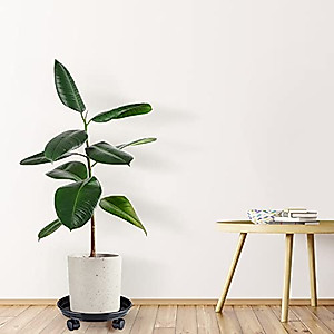 Skelang 4-Pack Plant Caddy 11.8 Inches, Plant Pallet with Brake Wheels, Plant Stand Roller for Indoor and Outdoor Heavy Duty Planter, Load Capacity 125 Lbs (Black)