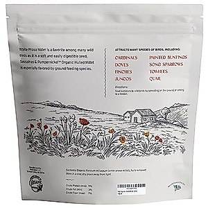 Sassafras & Pumpernickel Organic Millet without Hulls (12 lbs) USA Grown and Packaged, Bulk White Proso Millet for Birds, Hull-on Millet for added nutrients, Millet Bird Seed for parakeets, cockatiels