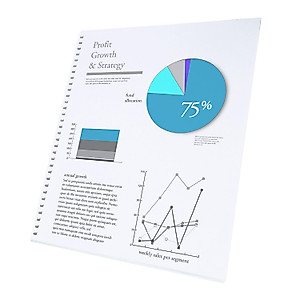 GBC CombBind Prepunched Paper, Binding, 8.5 x 11 Inches, White, 500 Sheets per Pack (2020046)