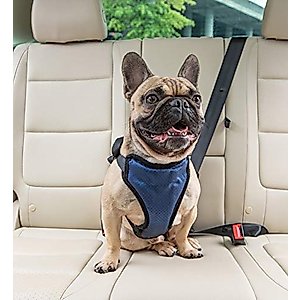 PetSafe Happy Ride Dog Safety Harness for Cars - Dog Car Harness Includes Seat Belt Tether - Keeps Pets Restrained - Breathable Mesh, Adjustable Straps - Dog Travel Accessories for Car - Medium