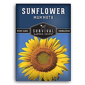 Survival Garden Seeds - Mammoth Sunflower Seed for Planting - Packet with Instructions to Plant and Grow Enormous Colorful Flowers in Your Home Flower or Vegetable Garden - Non-GMO Heirloom Variety