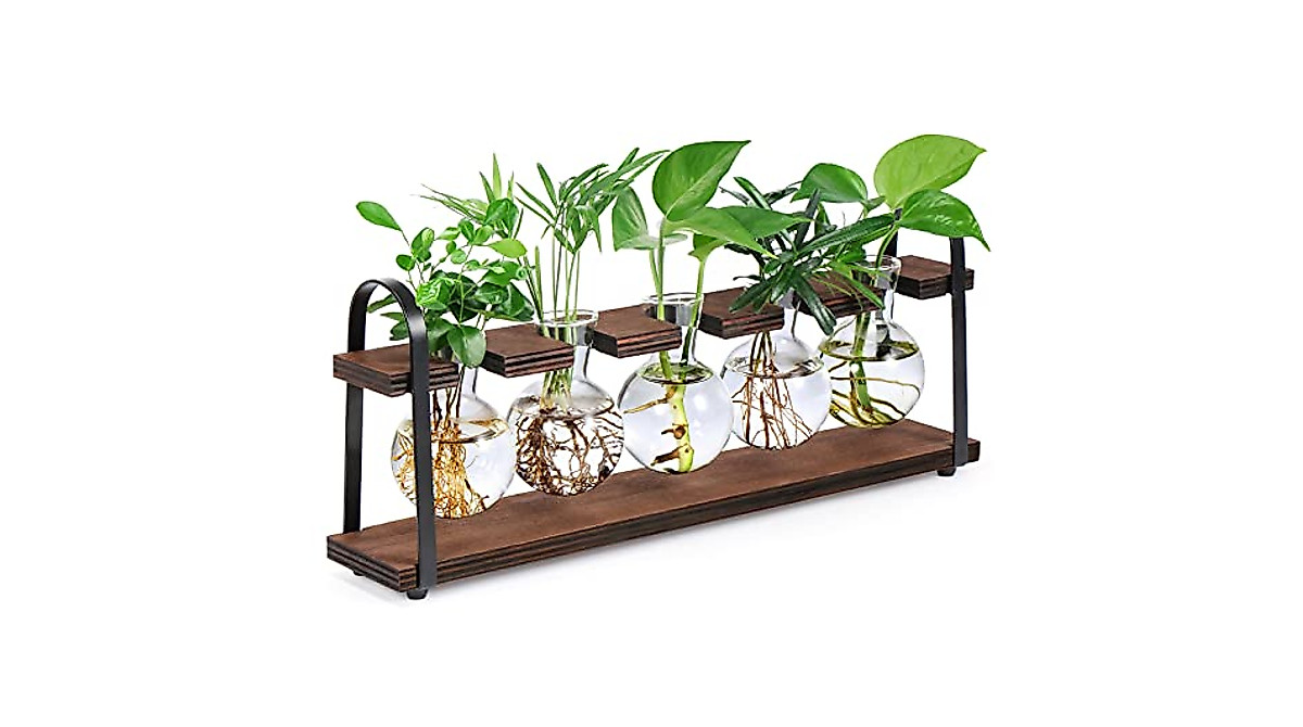 Stylish Plant Propagation Station with Wooden Stand for Indoor Gardens