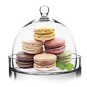 CYS EXCEL Bell Dome Cloche with Glass Base (H:7.5" W:8") | Multiple Size Choices Cake Dessert Display | Terrarium Jar Plant Cover