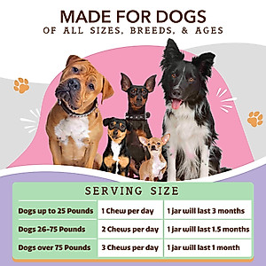 Natural Dog Company Aller-Immune Chews (90 Pieces), Turkey Flavor, Canine-Specific Probiotics, Allergy Immune Supplement for Dogs, Boosts Immune System, Antioxidant, Itch Relief for Dogs