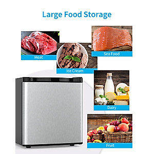 Compact Upright Freezer, Reversible Stainless Steel Door, Single Door, Adjustable Removable (Silver, 1.1 Cu. Ft.)