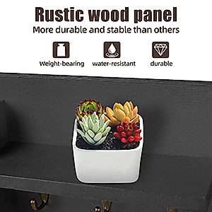 Heylor Key Holder for Wall, Mail and Key Hanger Wall Mount with Double Key Hook and Hat Coat Rack Shelf Decor,Key Organizer Suitable for Entryway, Hallway, Dog Leashes,House and Living Room, Black