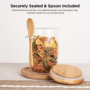 Famyards Glass Jars with Bamboo Airtight Lid and Spoon, Overnight Oats Containers with Lids, Decorative and Durable 17 Oz Kitchen Glass Canisters for Coffee Beans, Matcha, Flour, Sugar, Nuts, 3 Pcs