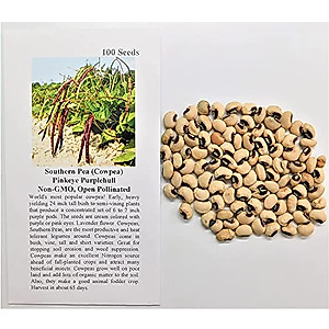 David's Garden Seeds Southern Pea (Cowpea) Pinkeye Purplehull FBA-0004 (Purple) 100 Non-GMO, Heirloom Seeds