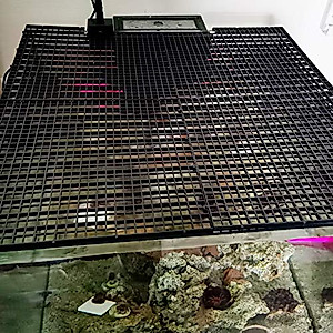 OIIKI 2PCS Egg Crate for Aquarium, Grid Tank Divider Tray, Fish Tank Bottom Isolation, with 4PCS Sucker Clip, for Mixed Breeding (Black)