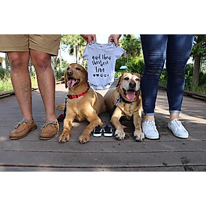 BFUSTYLE Child Baby Boy Girl Unisex Announcement Romper And Then There Were Five Paws Print Short Sleeve Winter Pregnancy Reveal Romper Shower Gifts Pure Gray Bodysuit Bulk Newborn 0-3 Months