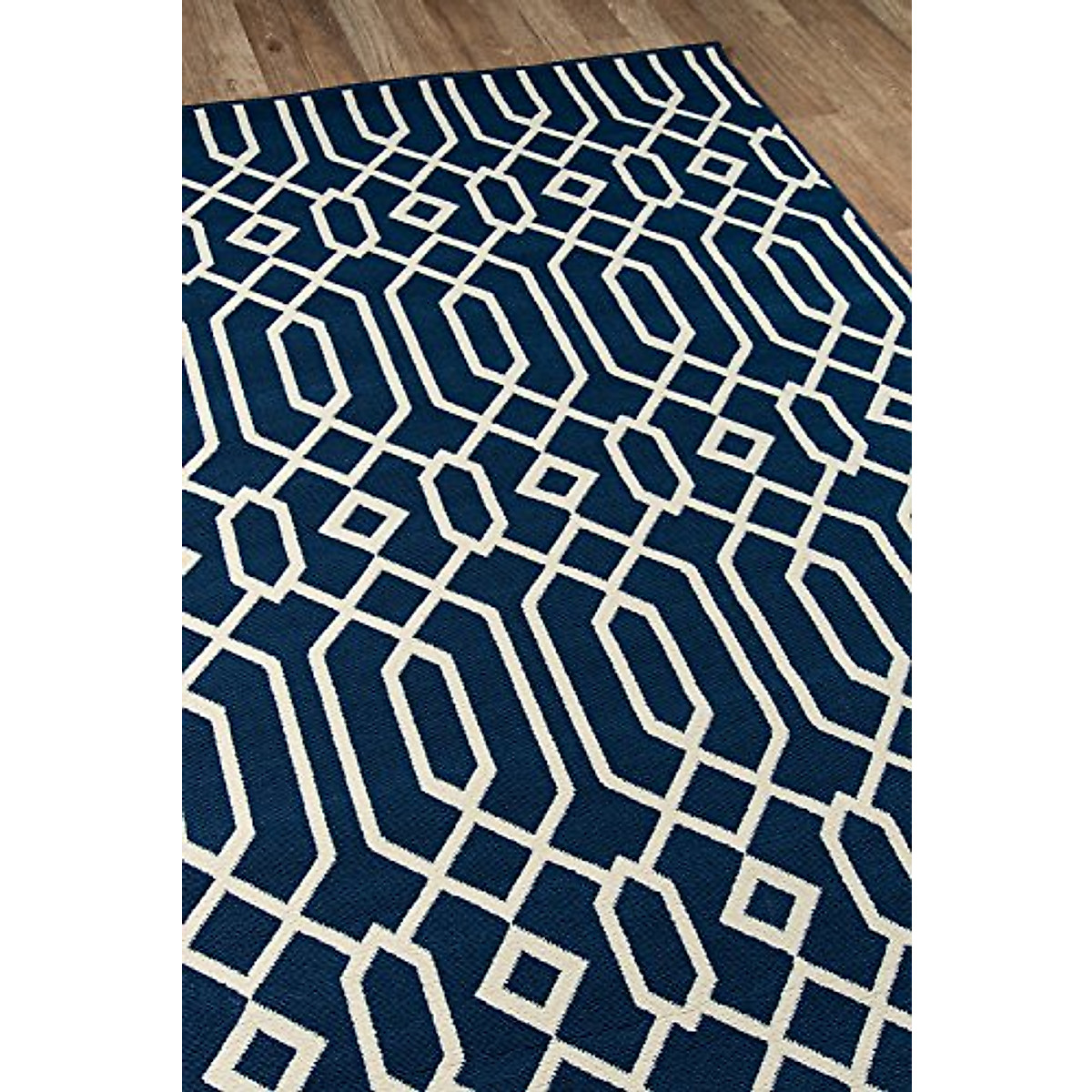 Momeni Rugs , Baja Collection Contemporary Indoor & Outdoor Area Rug, Easy to Clean, UV protected & Fade Resistant, 1'8" x 3'7", Navy Blue
