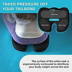 Xtreme Comforts Seat Cushion, Office Chair Cushions - Pack of 1 Padded Foam Cushion w/Handle for Desk, Wheelchair & Car Use - Back Support Pillow for Chair