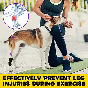 Oimmal 1 Pair Dog Leg Brace for Rear Hock & Ankle Front Leg Support, Canine Hind Leg Joint Compression Wrap, Dog Leg Support, Injury and Sprain Protection, Ankle Brace with Knee Support for Dogs (L)