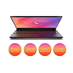 MAINGEAR Vector Pro 2 (2022) 15.6 inch RTX 3070 Ti Gaming Laptop, Intel Core i9-12900H Processor, NVIDIA GeForce RTX 3070 Ti 8GB GPU, 15.6 inch 240Hz QHD Display 32GB DDR5 RAM 1TB NVMe SSD Win 11 Pro