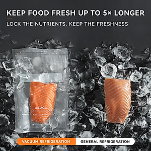 8" x 12" Precut Vacuum Sealer Bags, 200 Count, Includes 5 Liquid Block Bags & 5 Bone Guard Pieces, Heavy Duty for Food Storage, Sous Vide & Meal Prep, Wevac