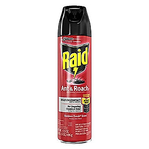 Raid Ant & Roach Killer Outdoor Fresh, 17.5 OZ (Pack - 3)