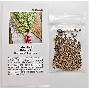 David's Garden Seeds Swiss Chard Ruby Red FBA-7522 (Maroon) 200 Non-GMO, Heirloom Seeds