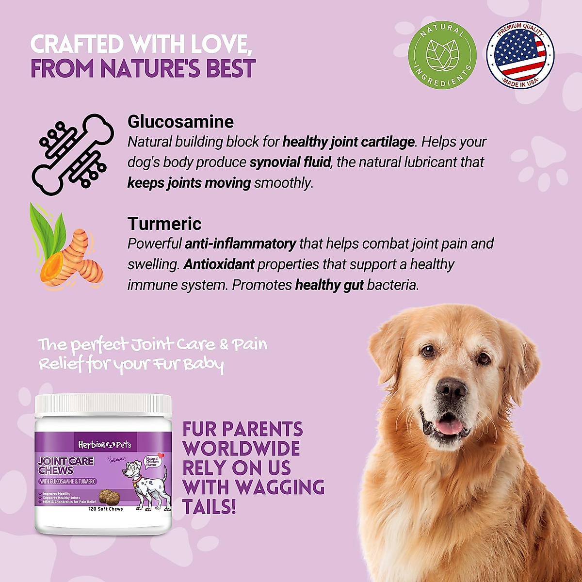 Herbion Pets Joint Care Chews with Glucosamine & Turmeric, 120 Soft Chews, MSM & Chondroitin for Pain Relief, Improves Mobility, Supports Healthy Joints, Made in The USA - for Dogs 12 Weeks+