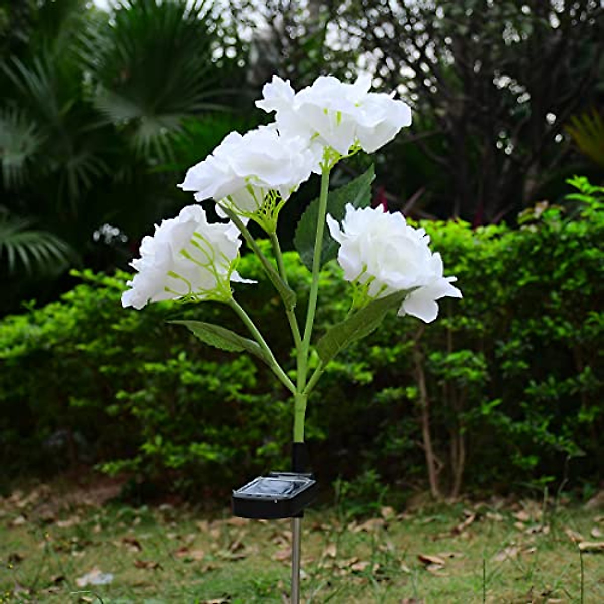 Solar Lights Outdoor Decorative 2 Pack Waterproof Hydrangea Silk Flowers Solar Powered Garden Stake Lights Solar Lights Outdoor Ground Lights for Patio Garden Yard Lawn Pathway (Blue and White)