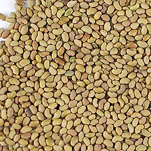 Certified Organic Alfalfa Sprouting / Sprout Seeds - Seed For Sprouts - 16 Oz