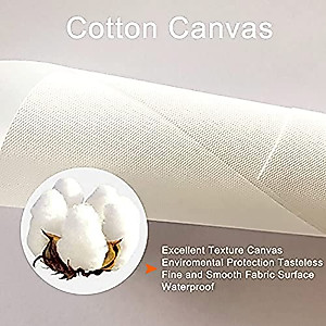 NESTLDEC Anime Poster Luffy Zoro Canvas Wall Art Thousand Sunny HD Print Painting The Straw Hat Pirates Room Decoration Boy Gift 12x16.5inch (Unframed)