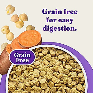 Halo Holistic Adult Dog Grain Free Cage-Free Chicken & Sweet Potato Recipe 3.5 lb Bag