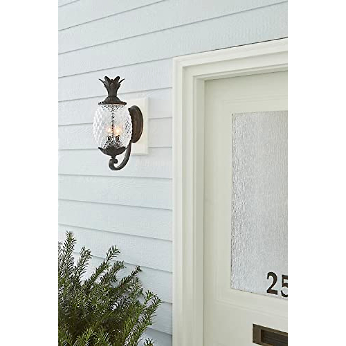 Acclaim 7501BC Lanai Collection 2-Light Wall Mount Outdoor Light Fixture, Black Coral