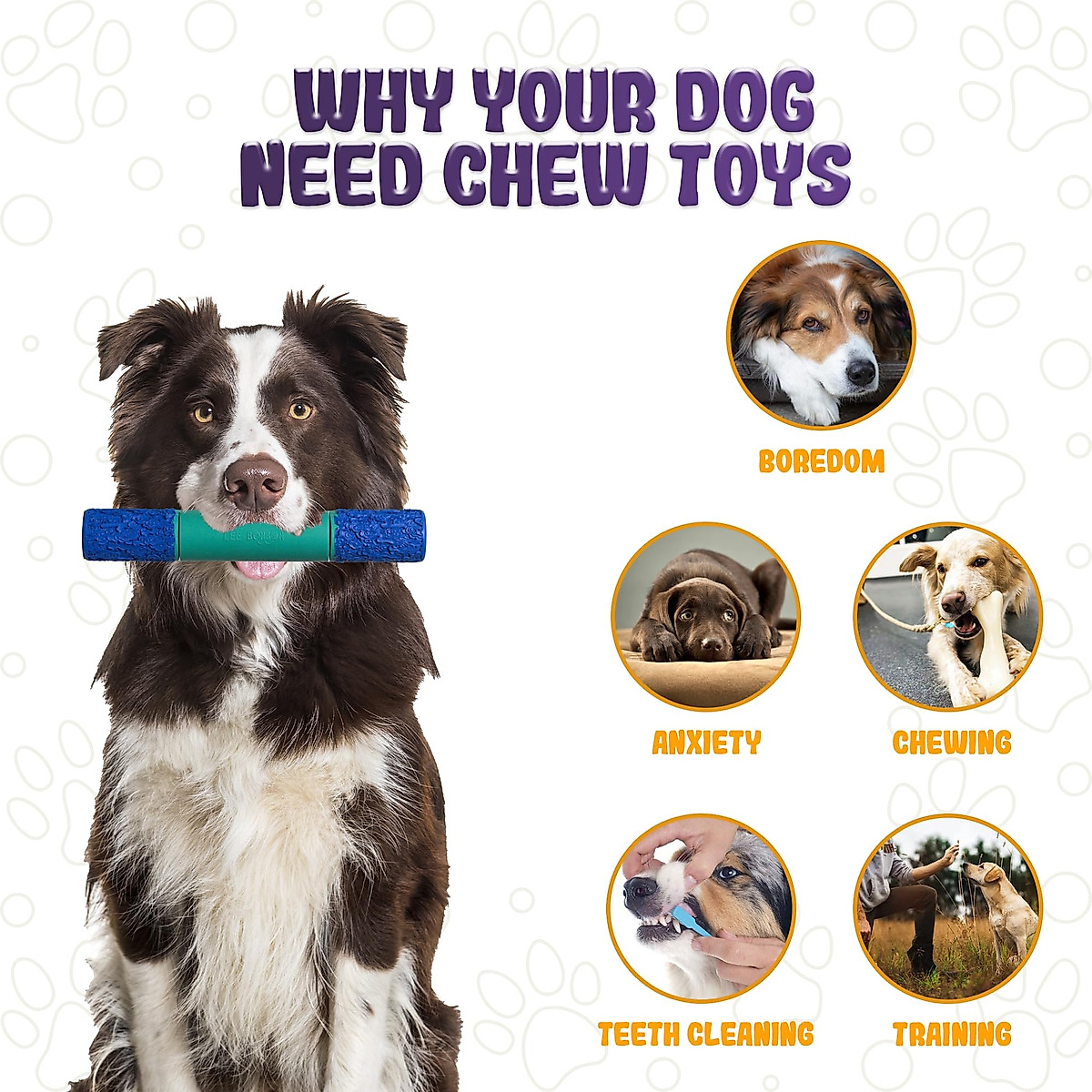 LEE BONBON Interactive & Durable Dog Chew Toys for Aggressive Small Medium Large Dog-Indestructible Dog Stick Toy Dog chew Toy (Blue & Green)