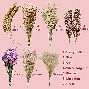 Hamster Bedding, Natural Hamster Bedding Flowers Herbs Cereal Grain For House Cage Habitat Enclosure Decor- Hamster Chews for Gerbils Mouse Rat Lemming Degus Guinea Pig or Small Animal Bedding Pets