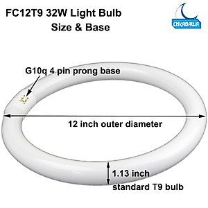 CHKADAWA FC12T9 32 Watts Circline Light Bulbs Daylight, Circular 12 Inch T9 32W Round Fluorescent Bulb Replacement for Circle Ceiling Fixture Lamp, DL 6500K Tube, G10q 4 Pin Base, 2 Pack