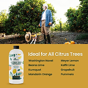 16oz Citrus Fertilizer & Fruit Tree Fertilizer - Makes 32 Gallons of Plant Fertilizer for Fruit Trees and Citrus Trees, Premium Citrus Tree Fertilizer and Liquid Plant Food, Water-Soluble Fertilizer