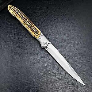 geegift 12" Large Pocket Folding Knife, EDC Knife,Stainless Steel Blade Resin Handle for Camping Hunting Outdoor Men