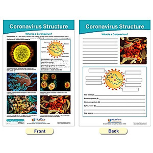 NewPath Learning Coronavirus Structure & Immunity Bulletin Board Chart Set, Set/4 - Laminated, Double-Sided, Full-Color, 12" x 18" (94-7716)