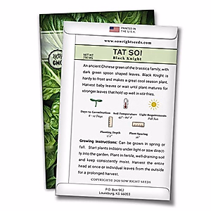 Sow Right Seeds - Asian Greens Collection for Planting - Individual Packets Thai Basil, Pak Choi, Chinese Celery, Michihili Cabbage and Tat SOI, Non-GMO Heirloom Seeds