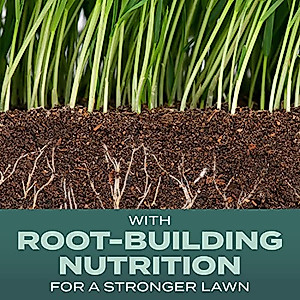 Scotts Turf Builder Grass Seed Dense Shade Mix with Fertilizer and Soil Improver, Grows With Little Sunlight, 2.4 lbs.
