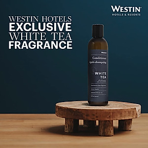 Westin White Tea Aloe Conditioner, 8 ounces - Repairive Conditioner for All Hair Types with Lightweight Formula, Signature White Tea Aloe Scent