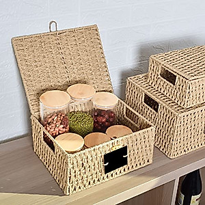 OUTBROS Storage Box Hand-Woven Wicker Storage Baskets with Lid, Multipurpose Stackable Storage Bin, Shelf Nesting Baskets, Desktop Makeup Organizer Container with Built-In Carry Handles, Natural