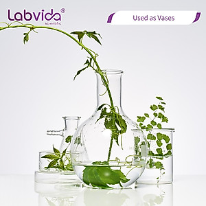 Labvida 2pcs of Glass Boiling Flasks of Flat Bottom, Vol.500ml, Borosilicate 3.3 Glass, LVD002