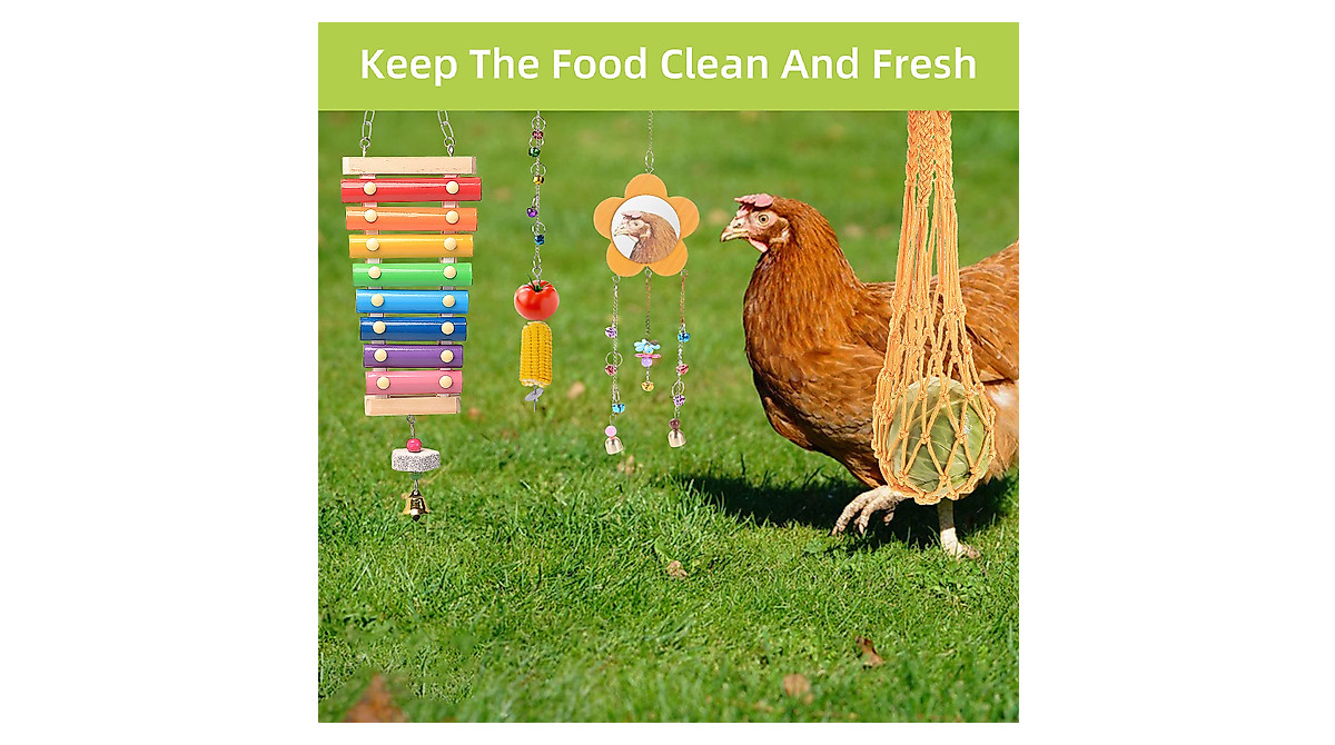 KAKUNM 6PCS Chicken Toys for Fun and Health