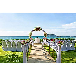 (Ready-to-use, Scented) 1,000 PCS Silk Rose Petals for Wedding Flower Petals for Romantic Decorations Special Night for Him Set or Her, for Proposal Anniversary Valentine's (Dark Red)