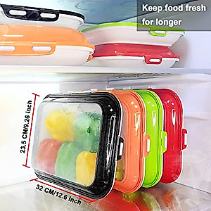 Stacking Food Storage Trays, 2 Pack Stackable Food Preservation Trays/Containers with Lid, Save Space Keep Food Fresh, Food Grade Plastic Wrap, BPA Free Serving Trays for Refrigerator Kitchen Picnic