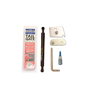 Dee Zee DZ43204 Tailgate Assist fits 2015-Current Ford F150, Multicolor