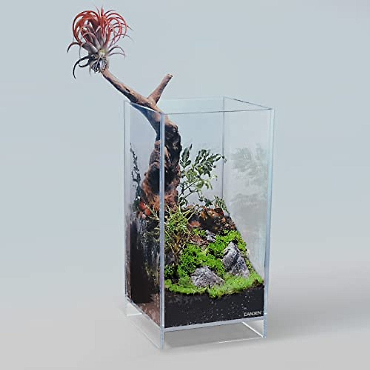 LANDEN Panna Natural Driftwood for Aquarium Decor Freshwater Fish Tank(12-14 inches, 30-35cm) 4pcs Terrariums Vivariums Reptile and Amphibian Enclosures Lizard Bearded Dragon Tortoise Various Shapes