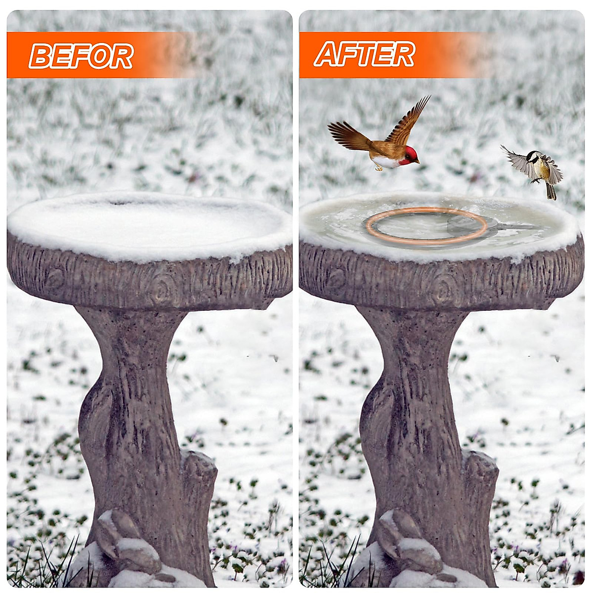 lollyes 250W Bird Bath Heater, Heated Bird Baths for Outdoor in Winter, Bird Bath De-icer with Thermostatically Controlled and 3.3Ft Cord, with Auto Shut Off Function, Ideal Gift for Birds