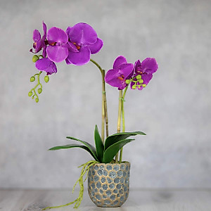 QUI-LO Perennial Gardens 18"-22" H Artificial Orchid Flowers, Fake Orchid, Artificial Orchids, Faux Orchid, Silk Orchids, Fake Flowers, Orchids Artificial Flowers (Rose)