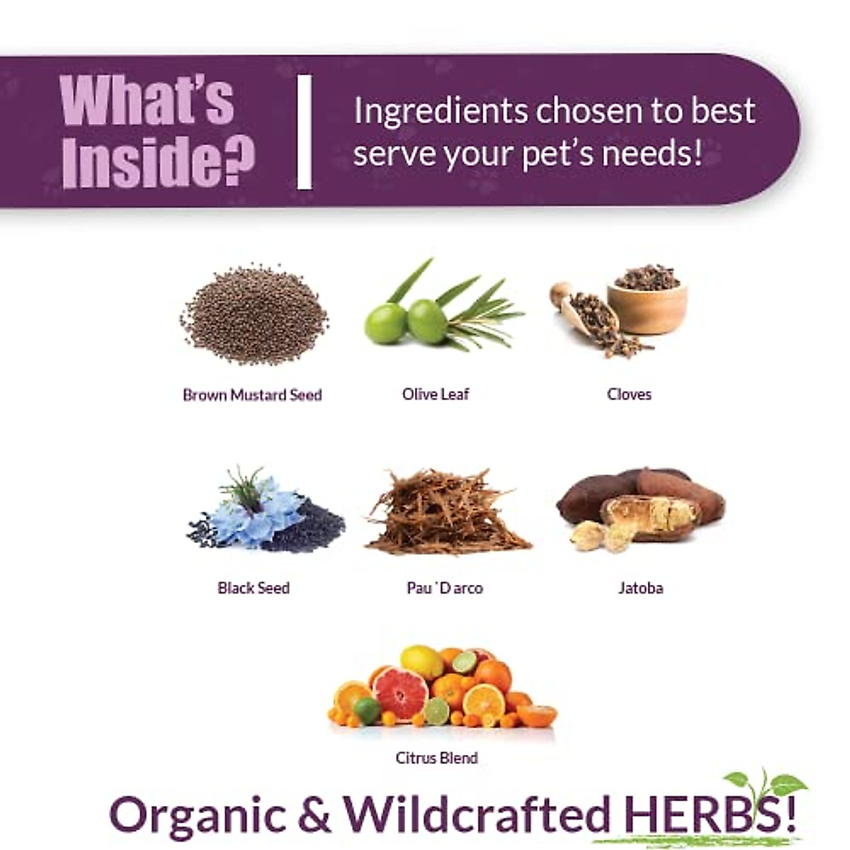 Amber NaturalZ - Vibactra Plus Immune Support Plus - an antioxidant enriched formula helps fight free radicals, supports healthy yeast balance, maintains healthy gut flora, supports upper respiratory health and oral health - 1 Oz